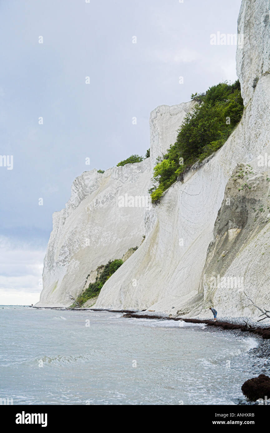 Denmarks island Mon chalk rocks Stock Photo - Alamy