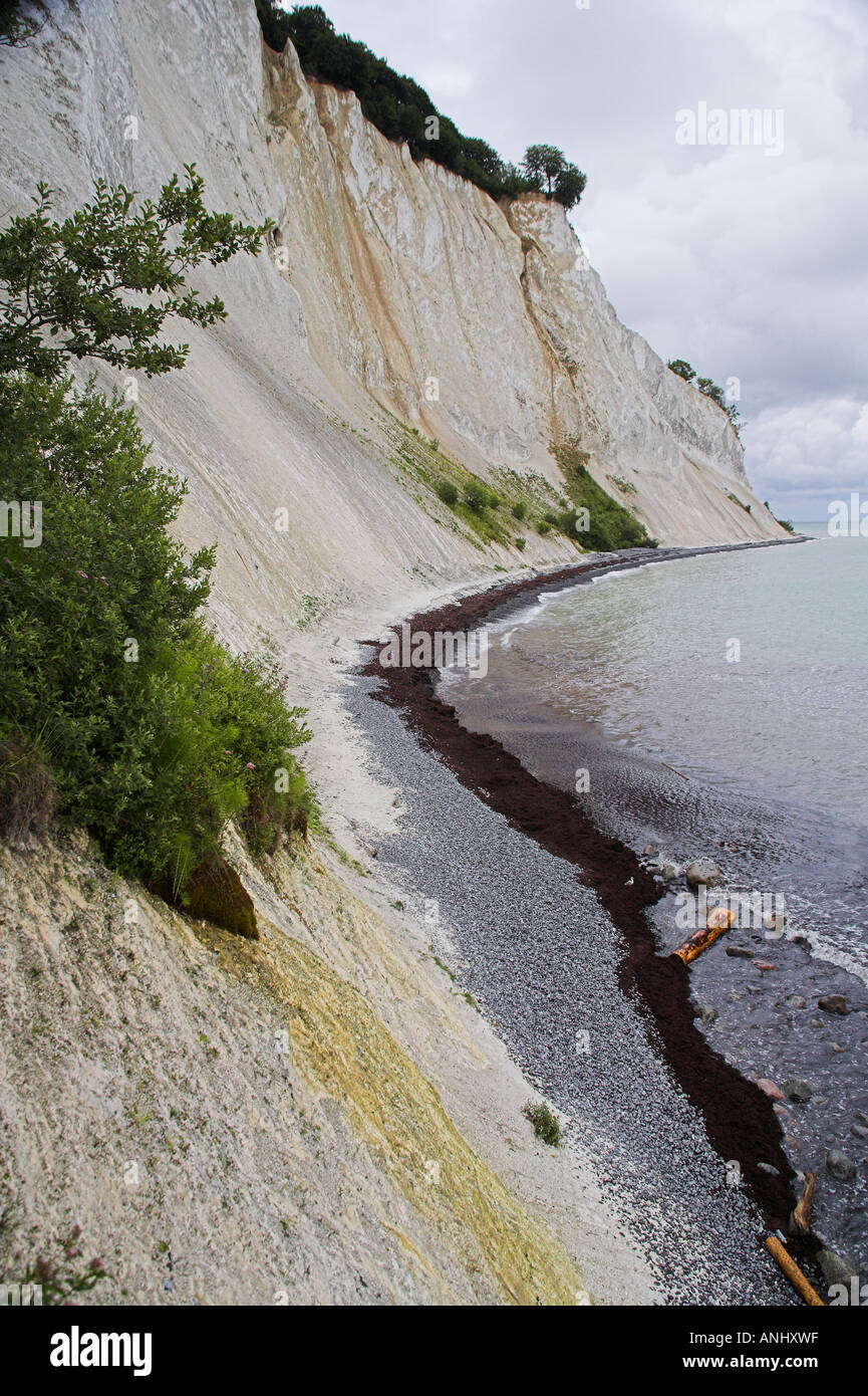 Denmarks island Mon chalk rocks Stock Photo - Alamy