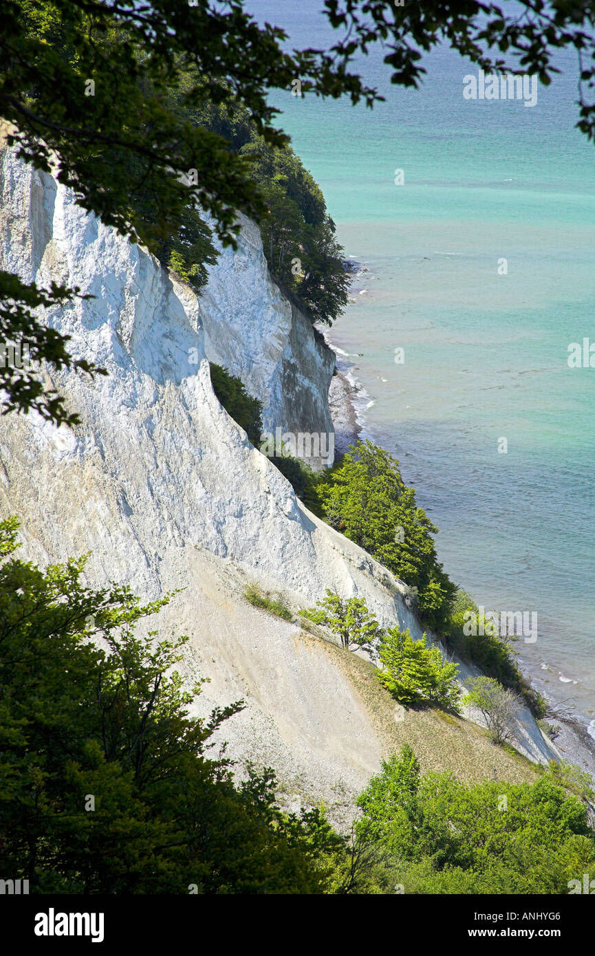 Denmarks island Mon chalk rocks Stock Photo - Alamy