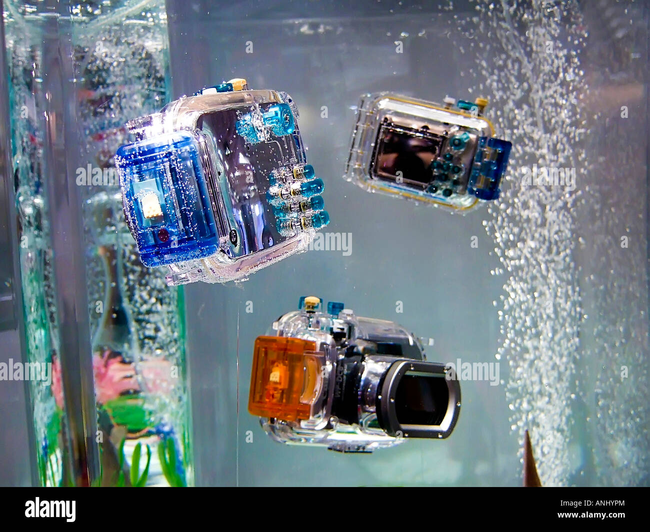 Underwater camera cases on display in water tank Stock Photo - Alamy