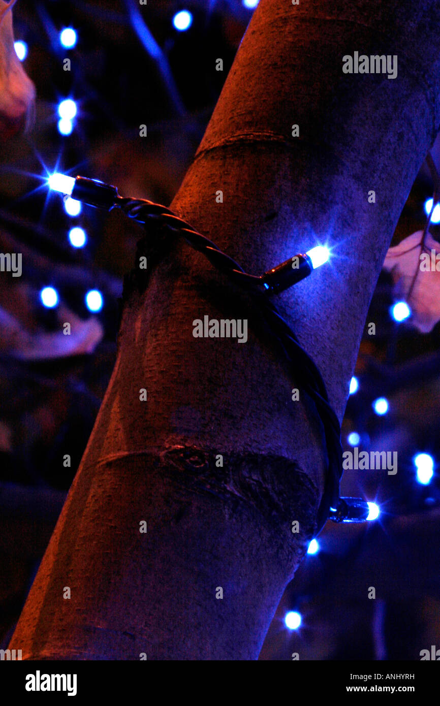 Lights wrapped around a tree hi-res stock photography and images - Alamy
