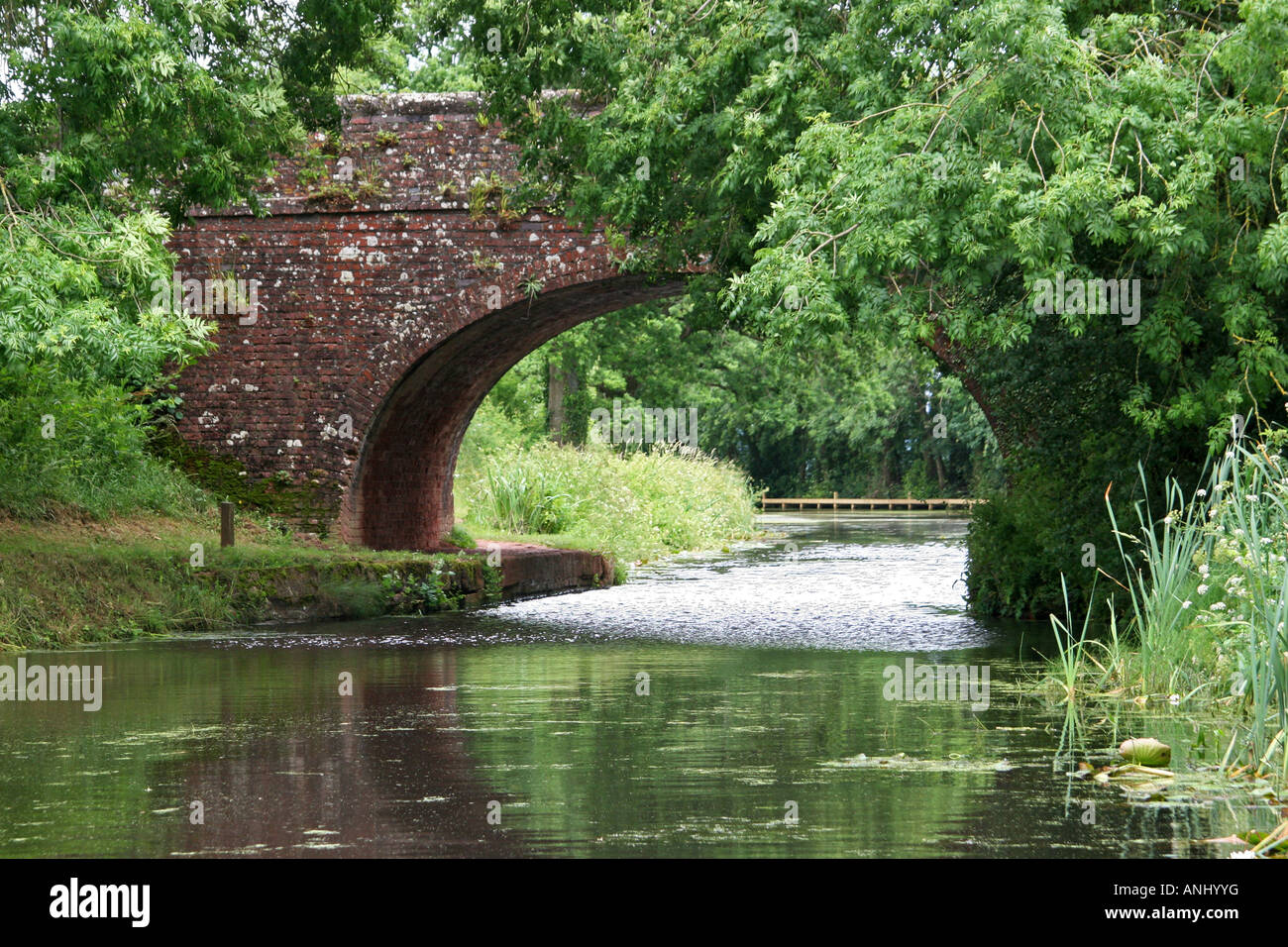 Arched bridge over canal crossing from wilderness in Devon, England ...