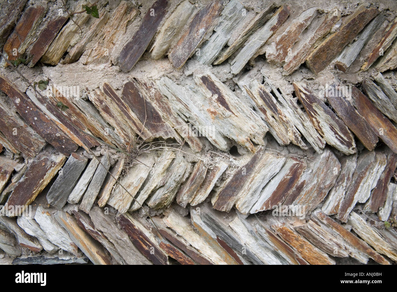 Traditional stone wall St Mawes Cornwall England Stock Photo - Alamy