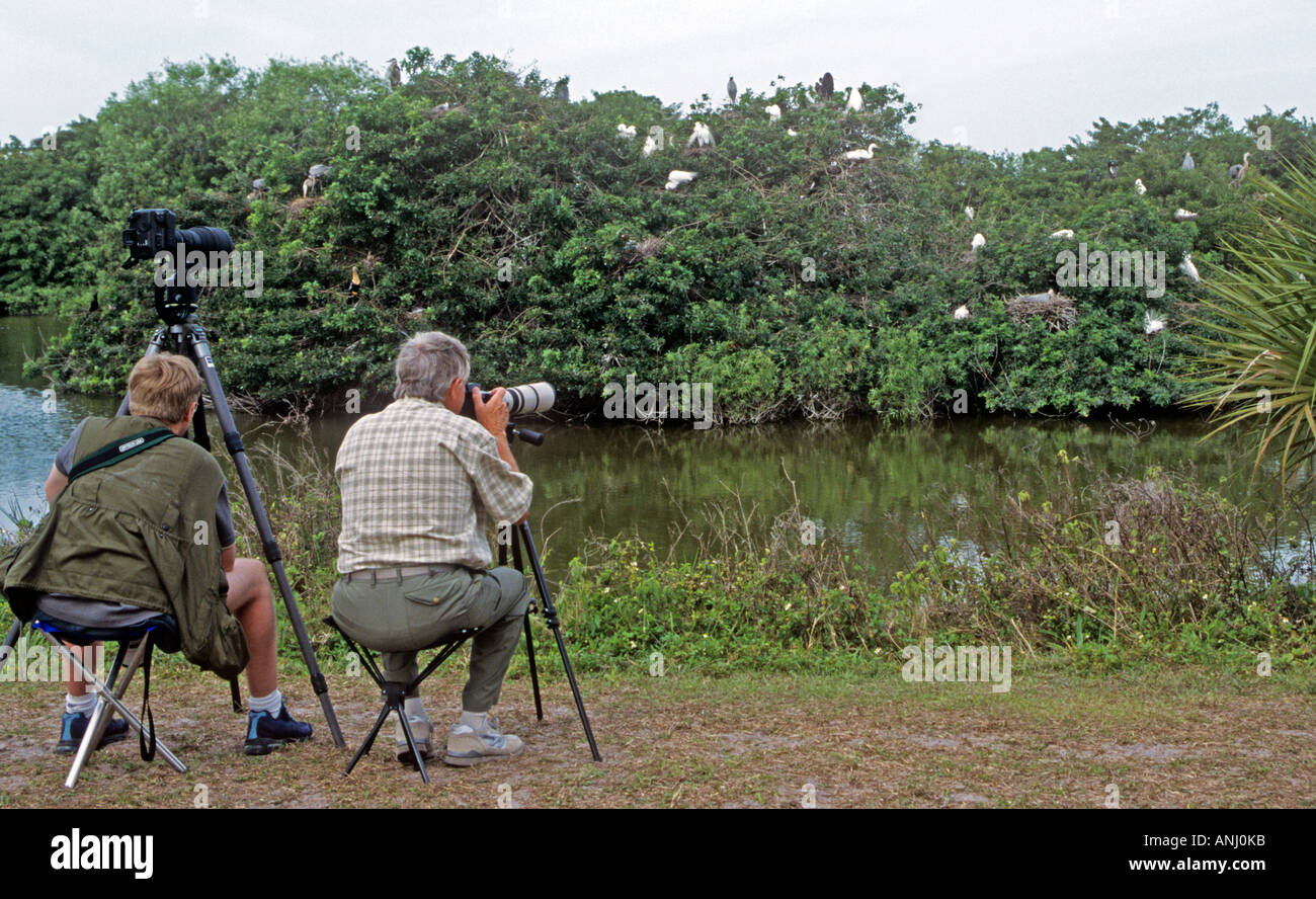 Bird Photographers at Venice Rookery, South Venice, Florida, North ...