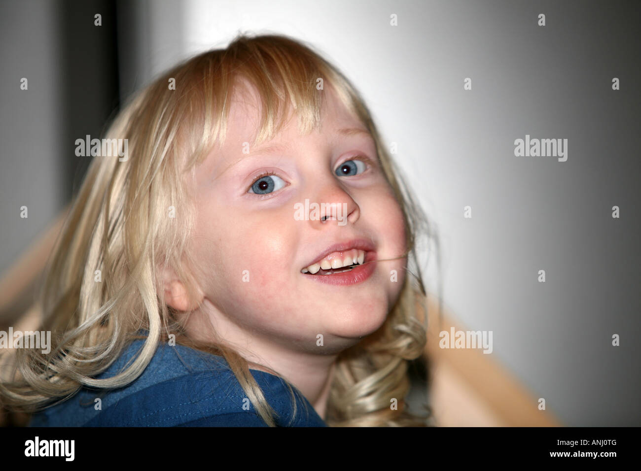 Blond English Rose Stock Photo - Alamy