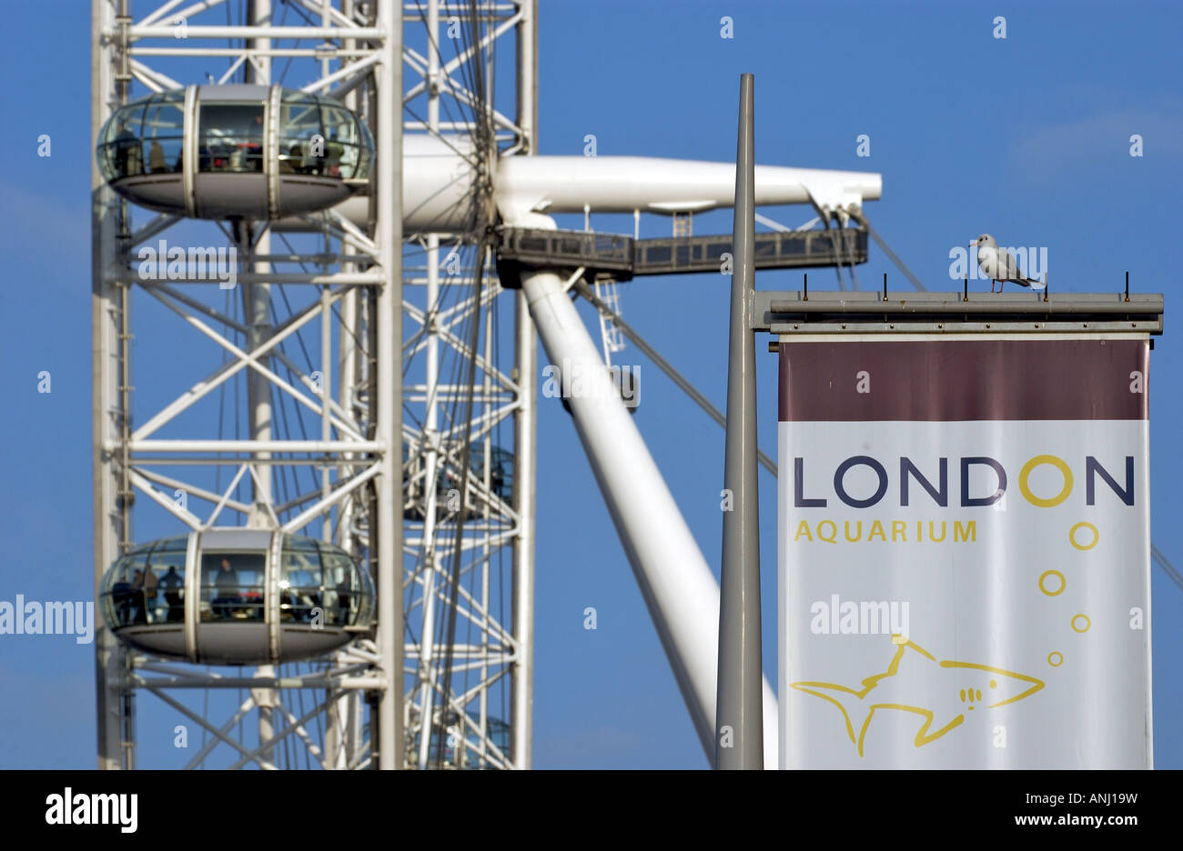 The London Eye, also known as the Millennium Wheel, is an observation ...