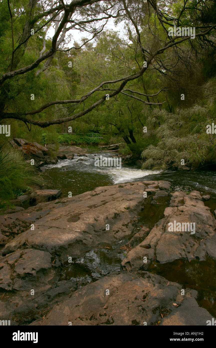 Trees overhanging falls hi-res stock photography and images - Alamy