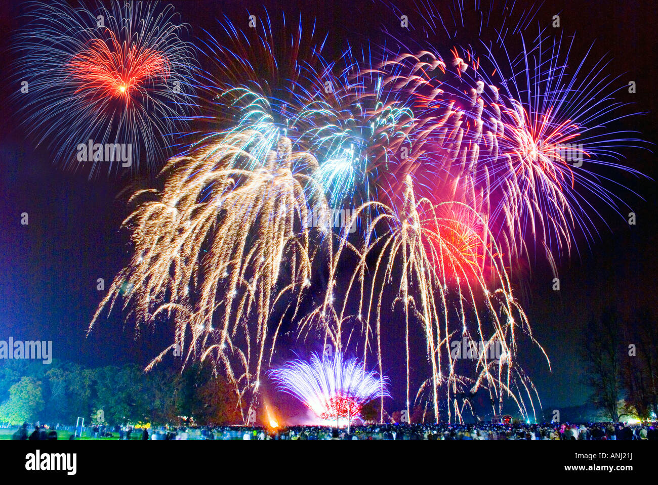 Fireworks display in night sky Stock Photo - Alamy