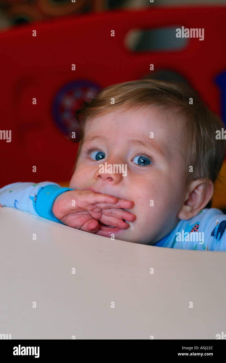 Happy toddler stares over fence hand in mouth concerned Model released ...