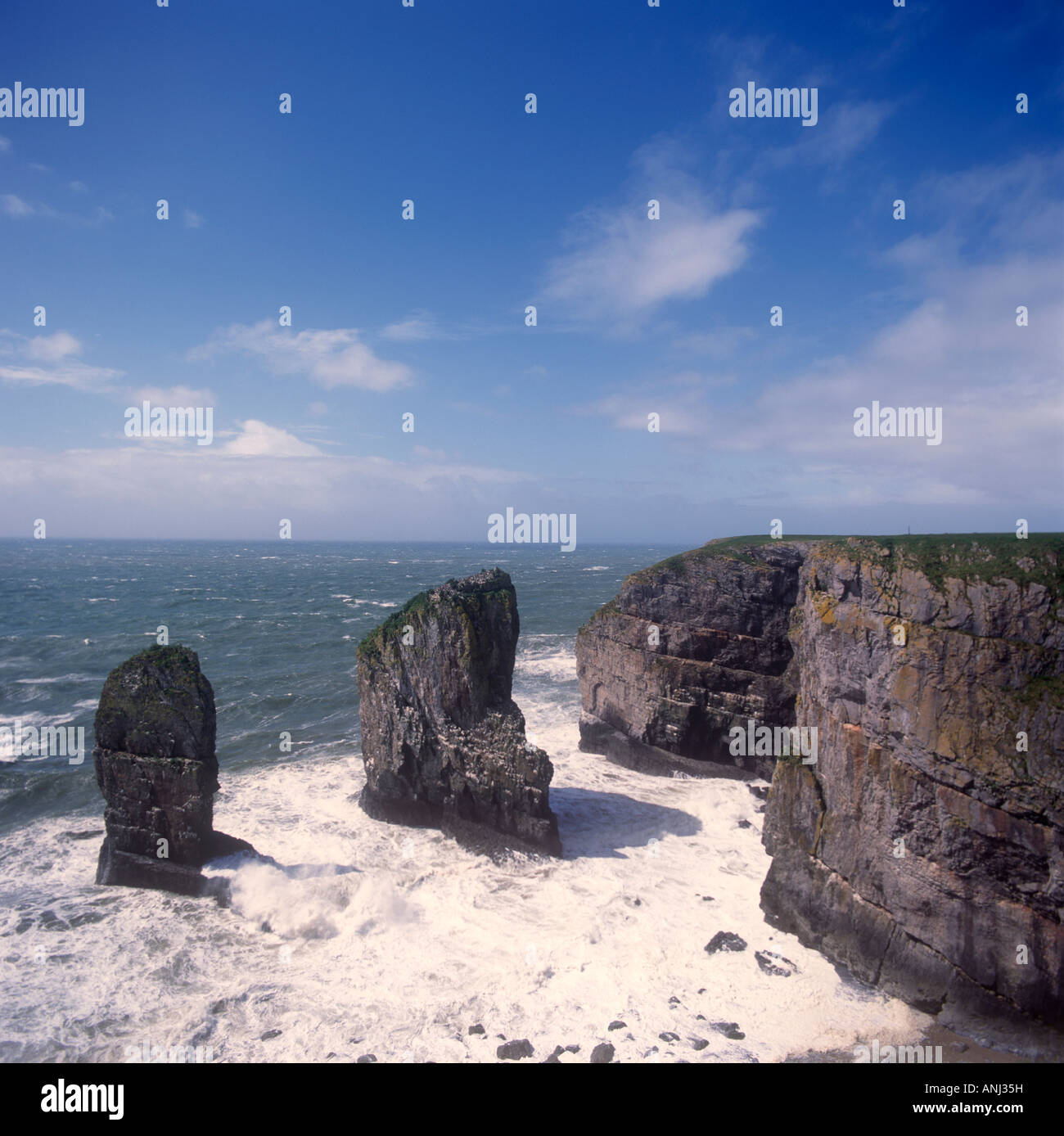 Elegug Stacks Pembrokeshire Coast Stock Photo - Alamy