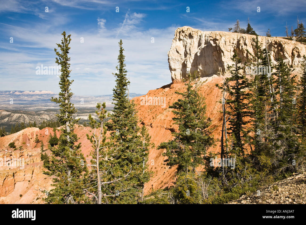 Black Birch Canyon, Bryce Canyon National Park in Utah, USA Stock Photo ...