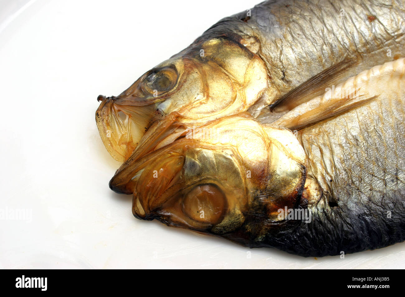 Traditional smoked Kipper studio still life Stock Photo - Alamy