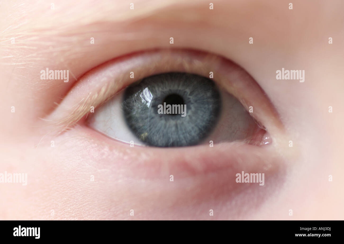 Eye close up Stock Photo - Alamy