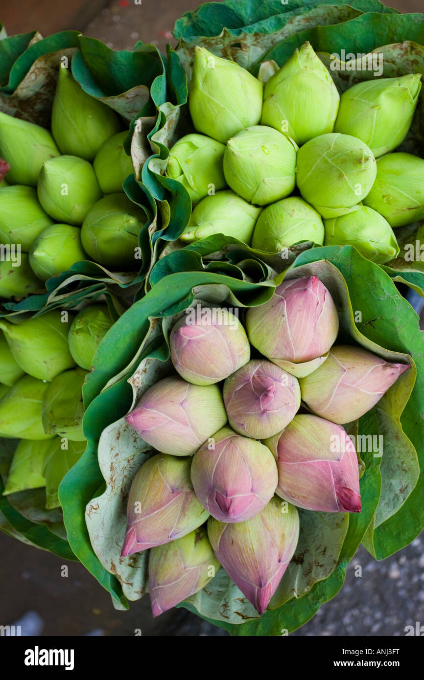 Ton Lamyai Flower Market Chiang Mai Thailand Stock Photo - Alamy