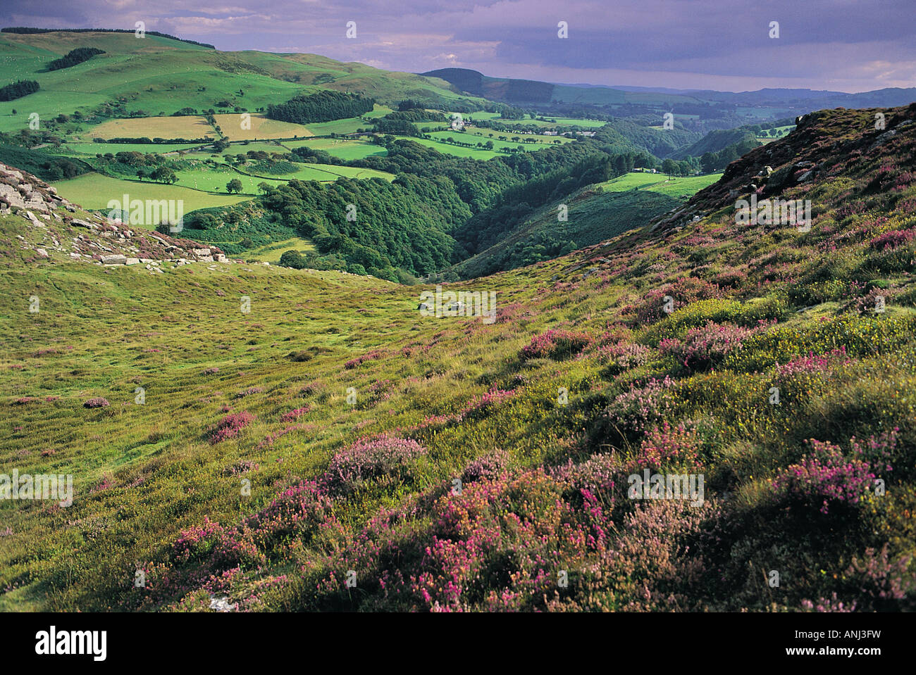 Vale reidol hi-res stock photography and images - Alamy