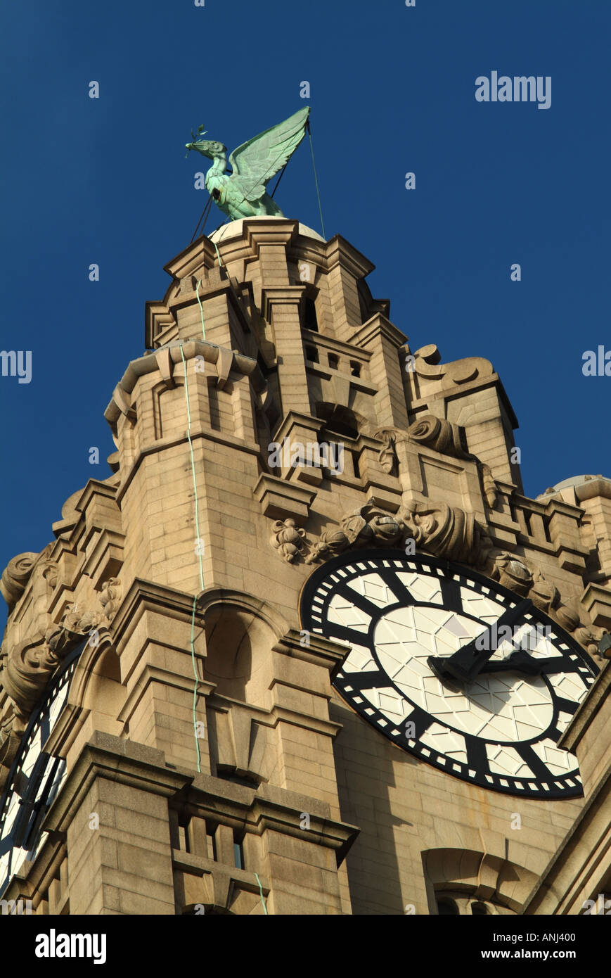 liver building liverpool uk portrait Stock Photo - Alamy