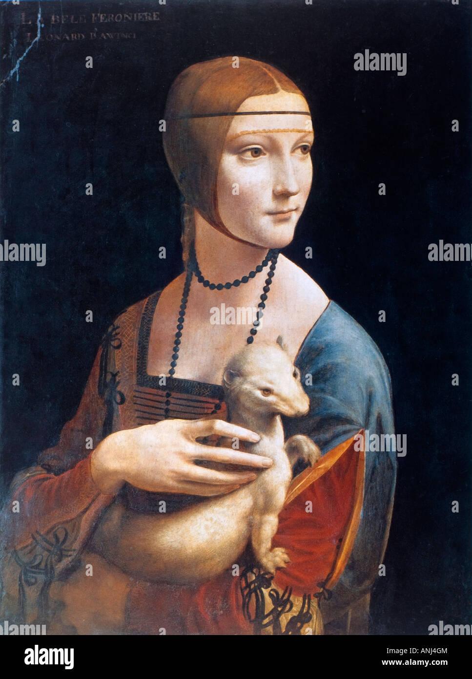 Leonardo da vinci hi-res stock photography and images - Alamy