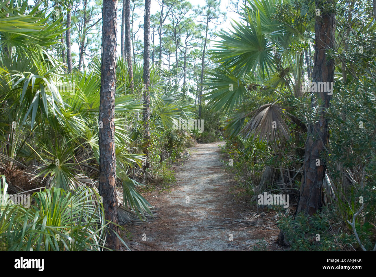 Middle keys hi-res stock photography and images - Alamy