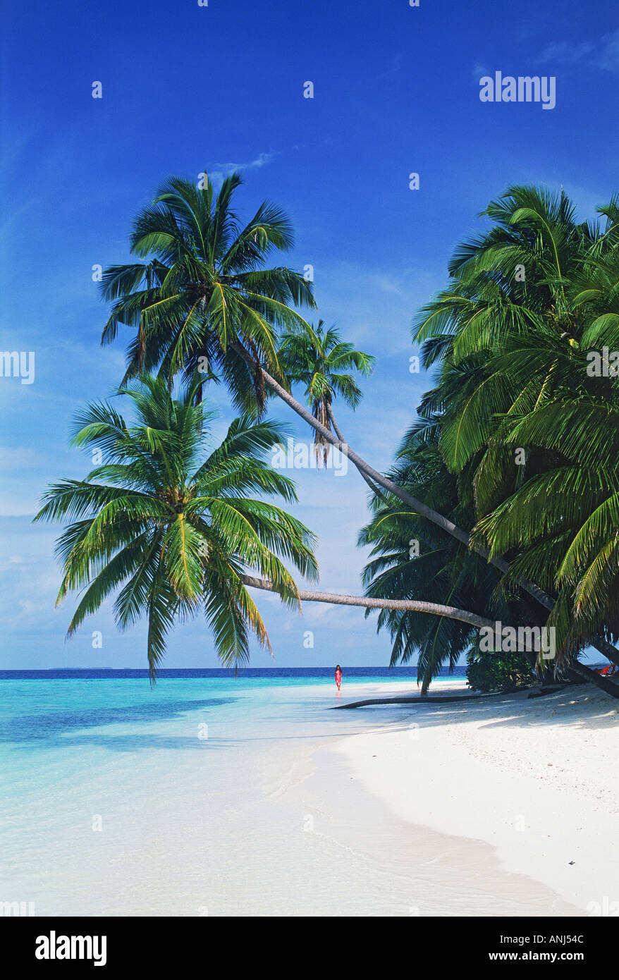 Travel woman island hi-res stock photography and images - Alamy