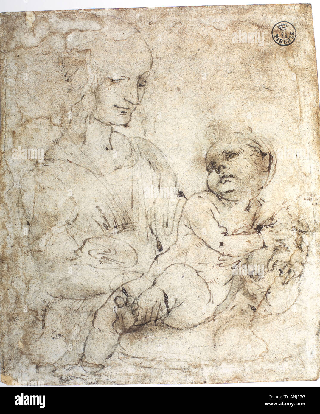 Study for Madonna with a Cat by Leonardo da Vinci Stock Photo - Alamy