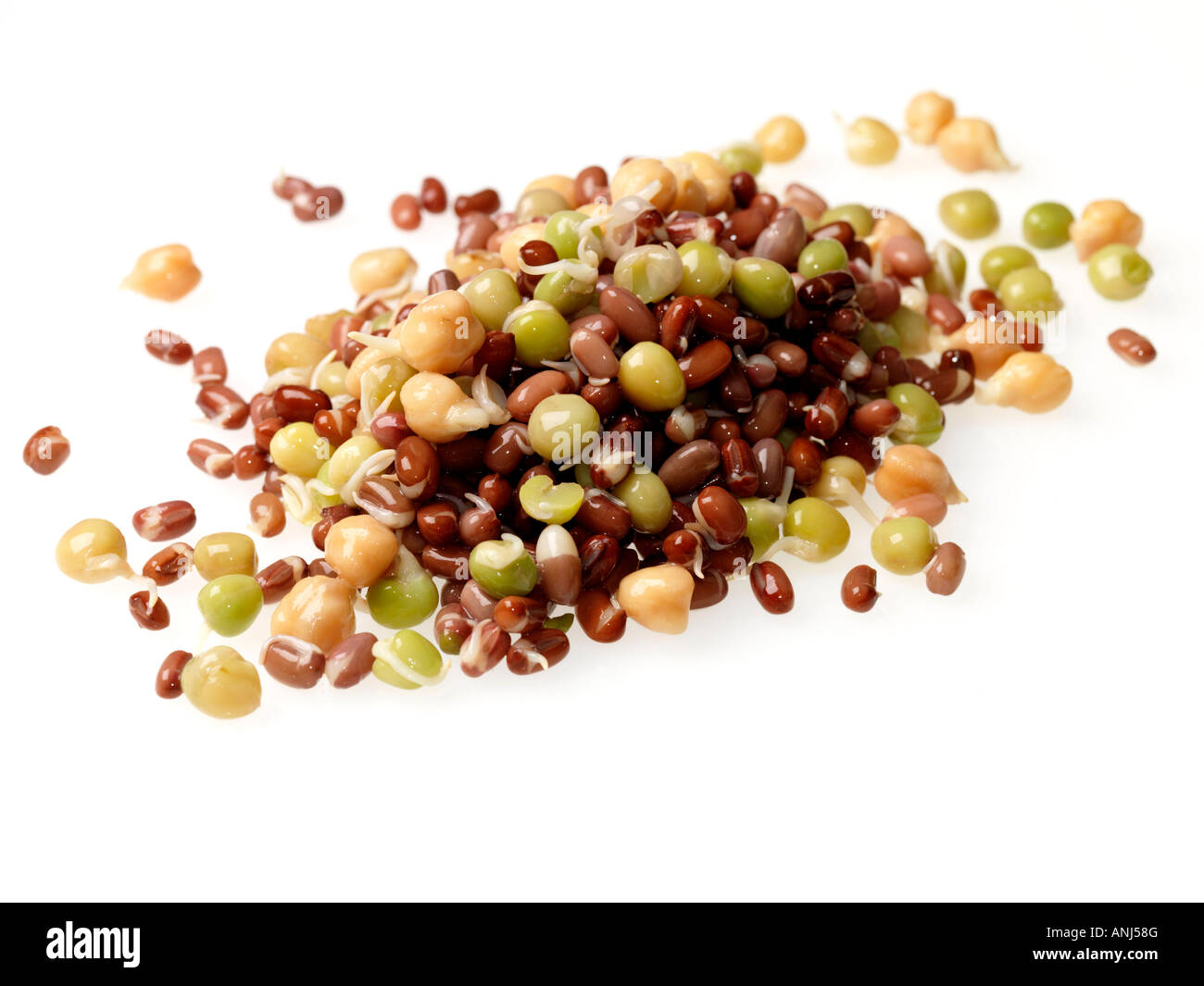 Mixed sprouting beans healthy hi-res stock photography and images - Alamy