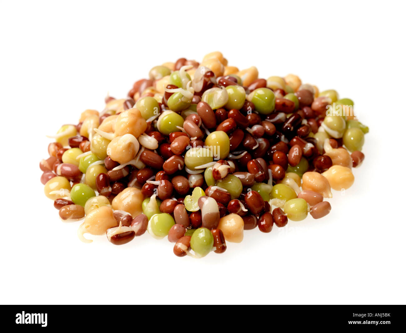 Mixed Sprouting Beans Stock Photo - Alamy