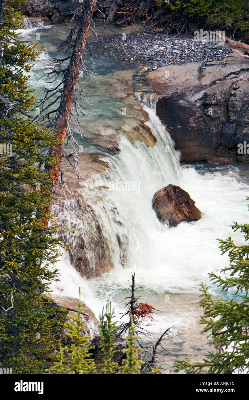 A glacial waterfall from the icefields in the Alberta region of the ...