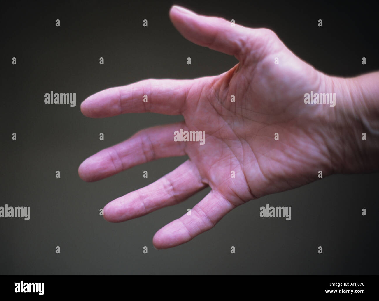 Old womans hands MODEL RELEASE Stock Photo - Alamy