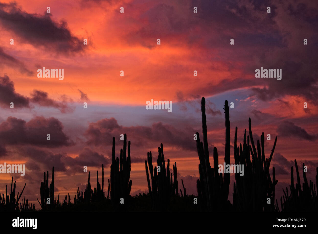 Beautiful warm serene reverie hi-res stock photography and images - Alamy