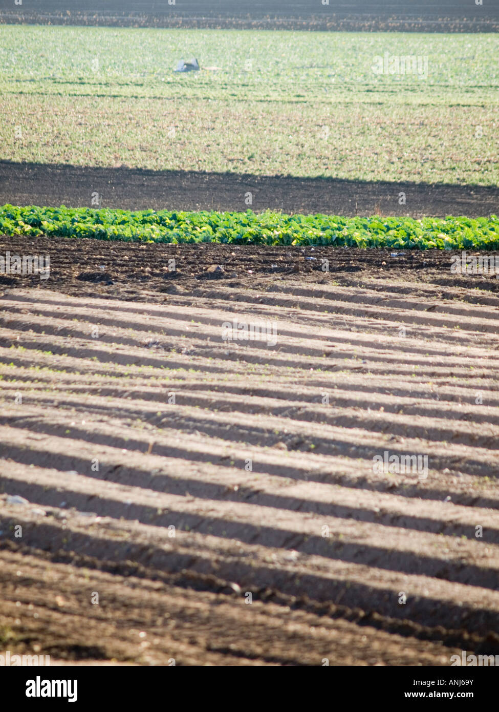 Farm fields at sunrise Stock Photo - Alamy