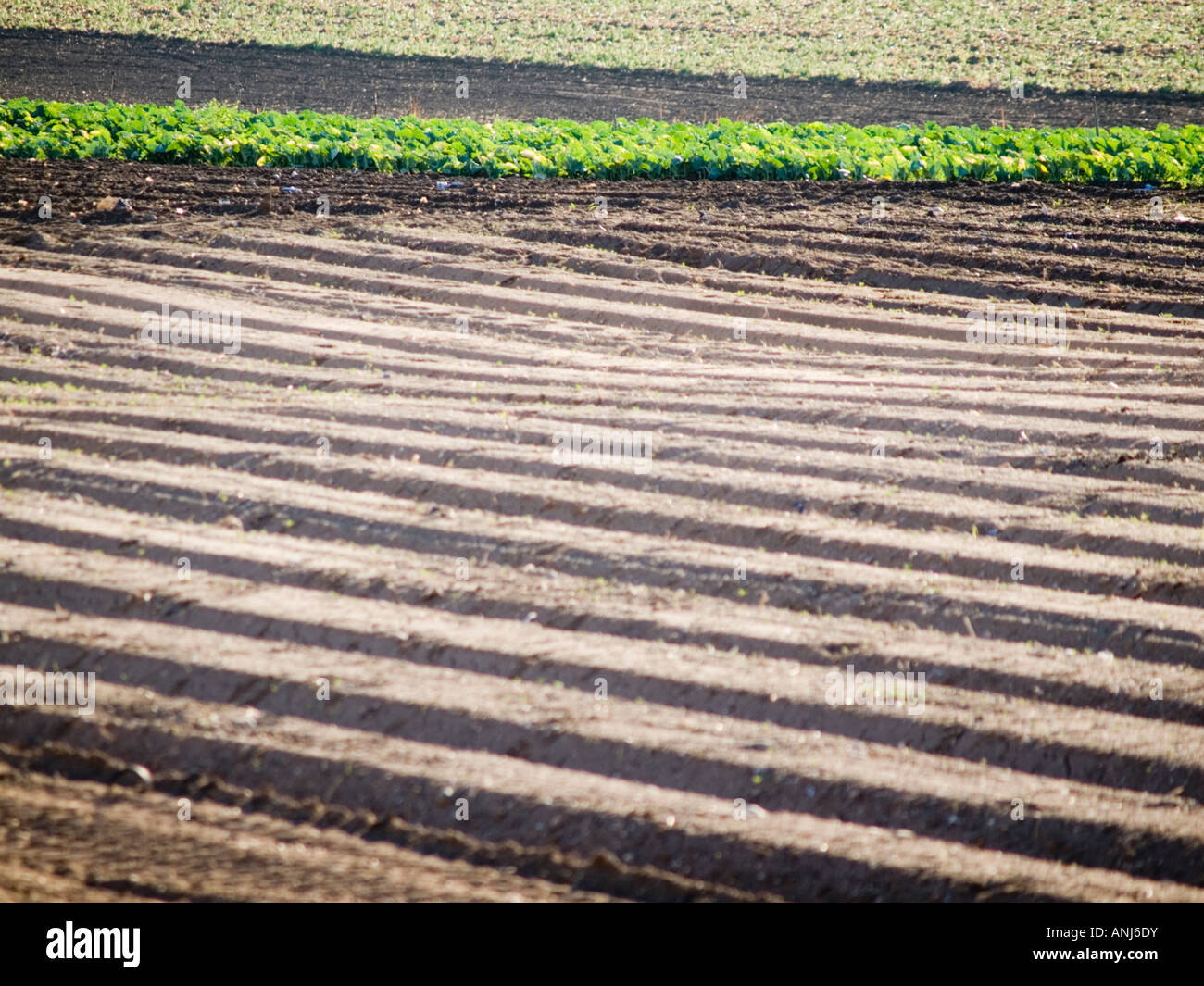 Planting fields door hi-res stock photography and images - Alamy
