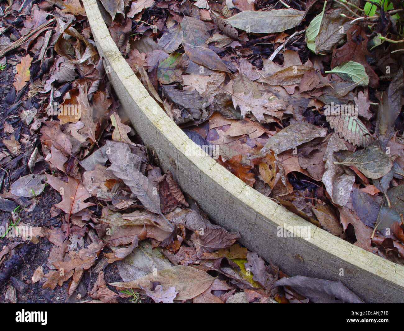 Timber path edging with rear cuts Stock Photo - Alamy