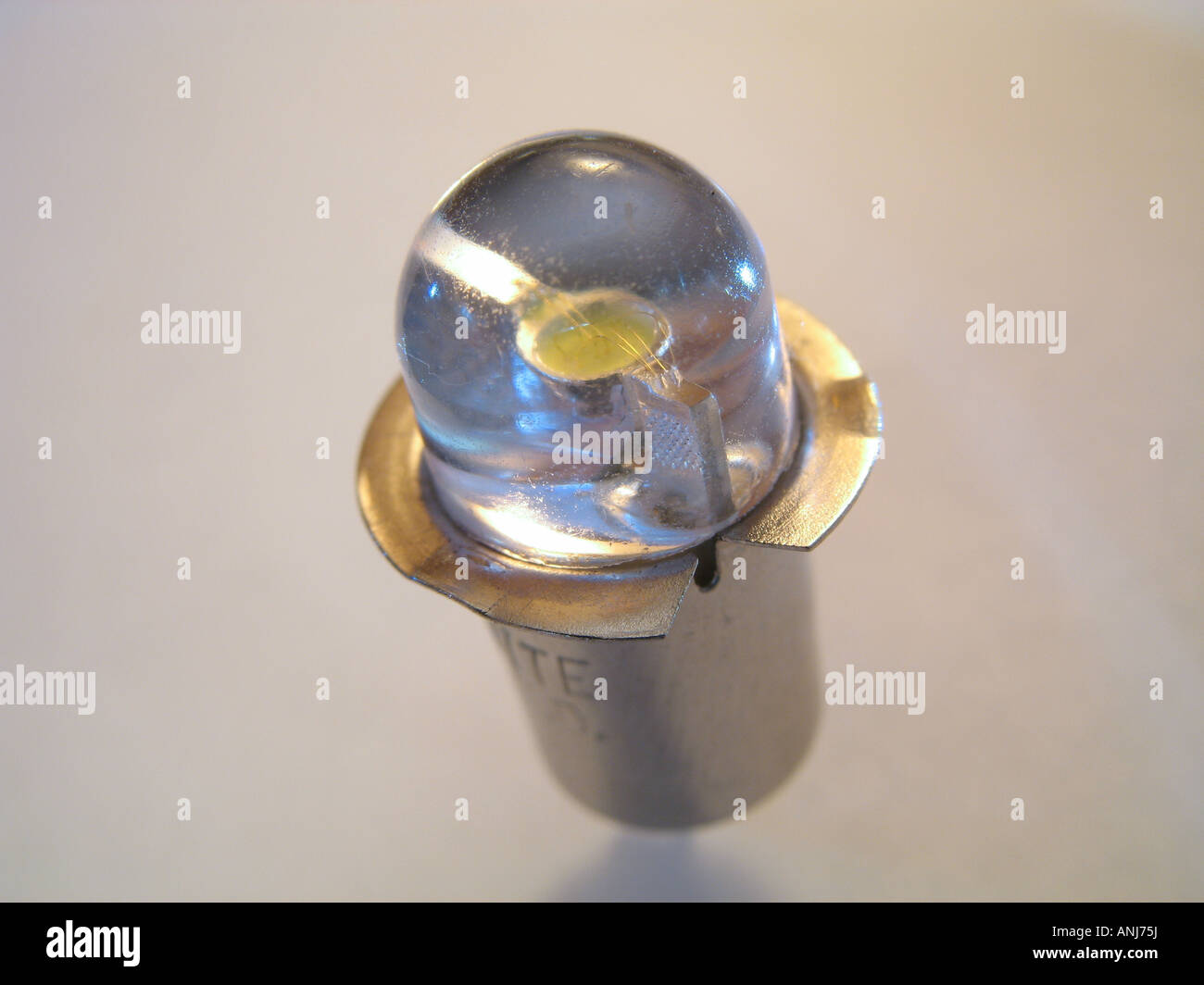 White, light emitting diode, or LED, flashlight bulb Stock Photo - Alamy