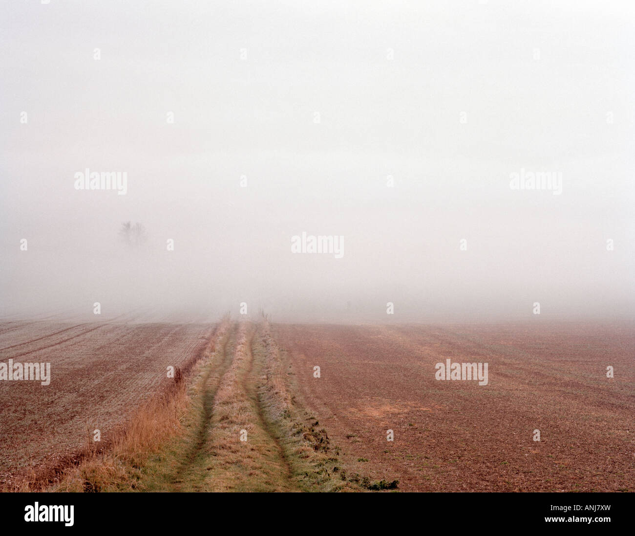 Fog in the field hi-res stock photography and images - Alamy