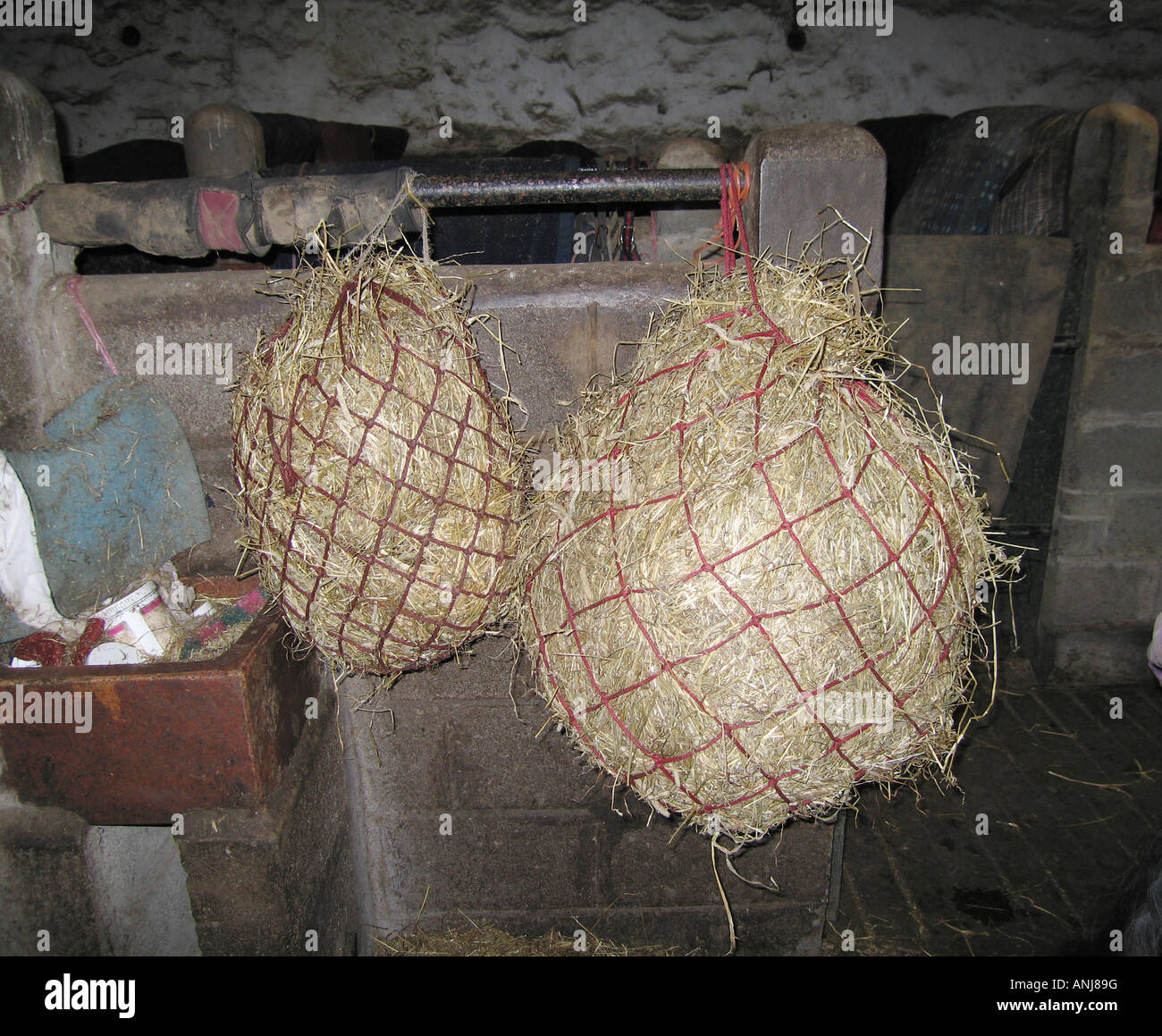 Stable stall hi-res stock photography and images - Alamy