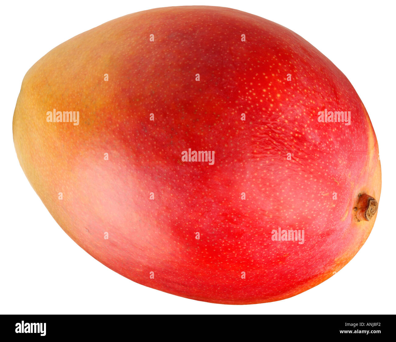 MANGO ON WHITE Stock Photo - Alamy