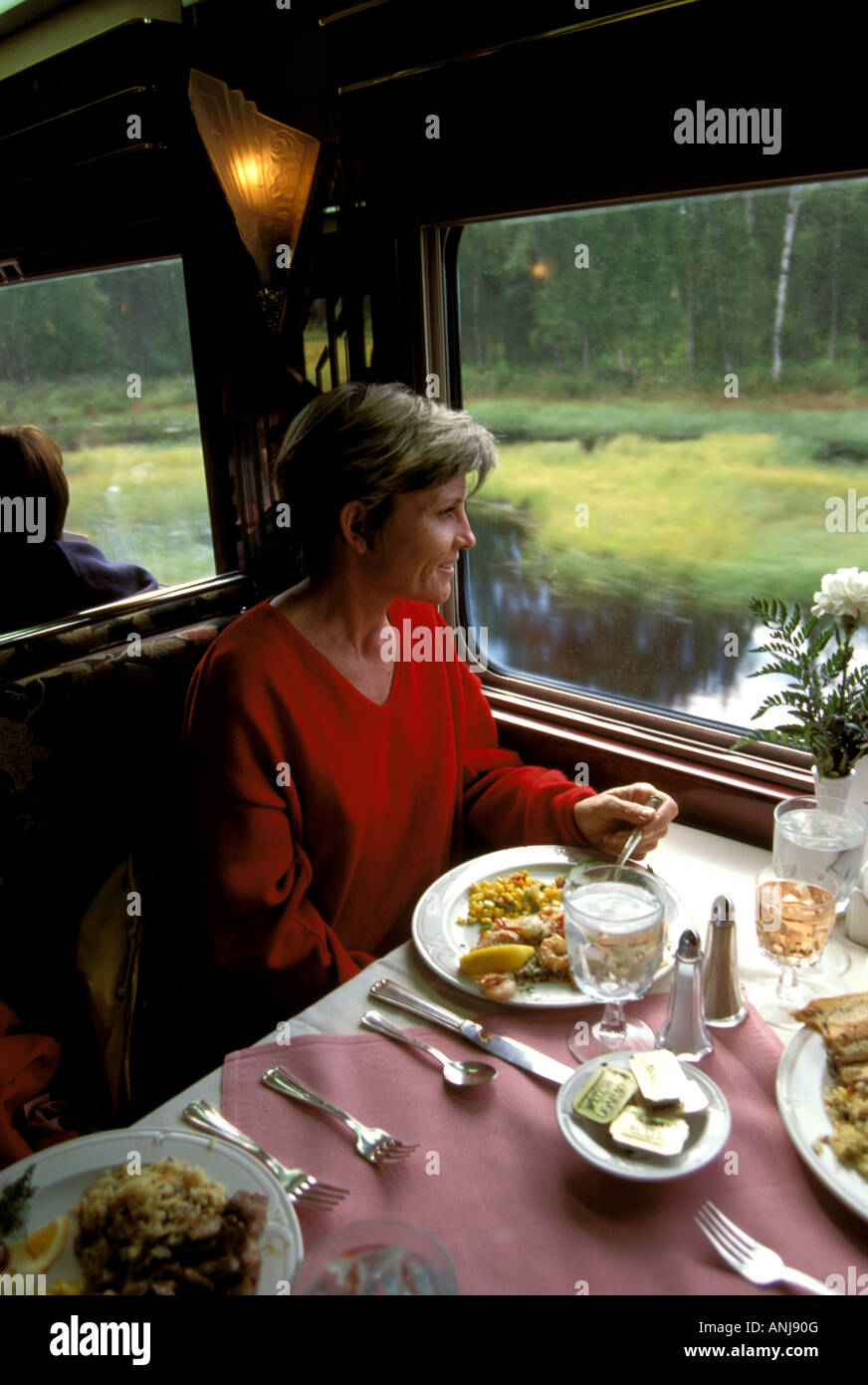 AK Alaska Railroad Luxury Car on the McKinley Explorer Train young ...