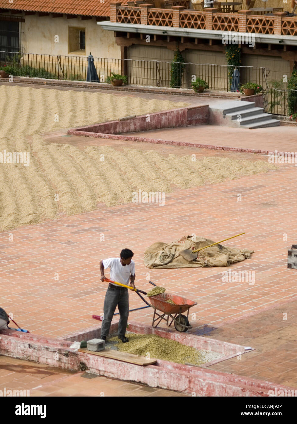 Coffee rake hi-res stock photography and images - Alamy
