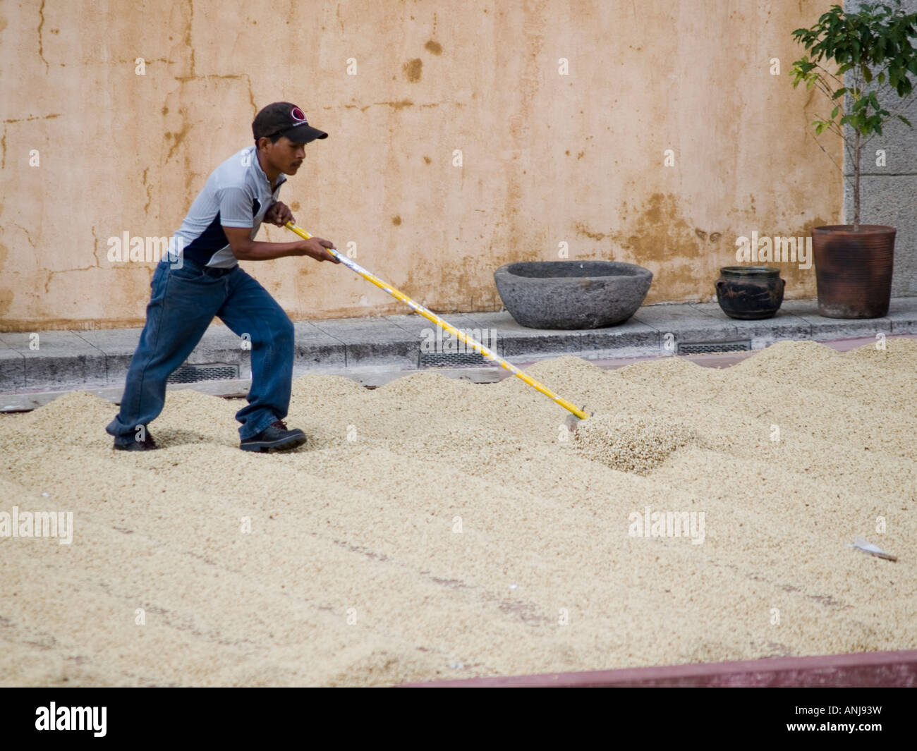 Coffee rake hi-res stock photography and images - Alamy