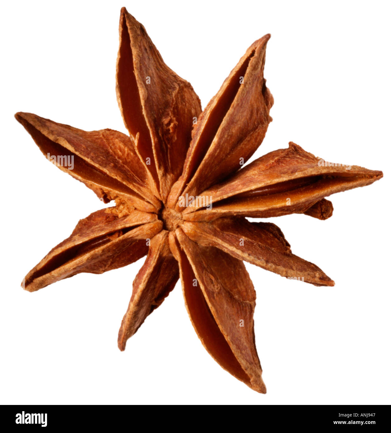 Single star hi-res stock photography and images - Alamy