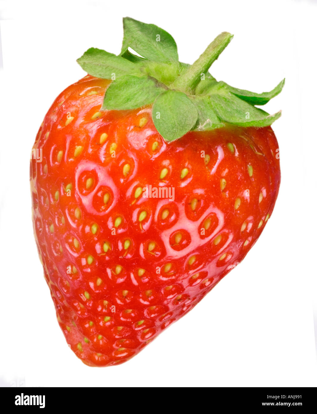 Single stawberry hi-res stock photography and images - Alamy