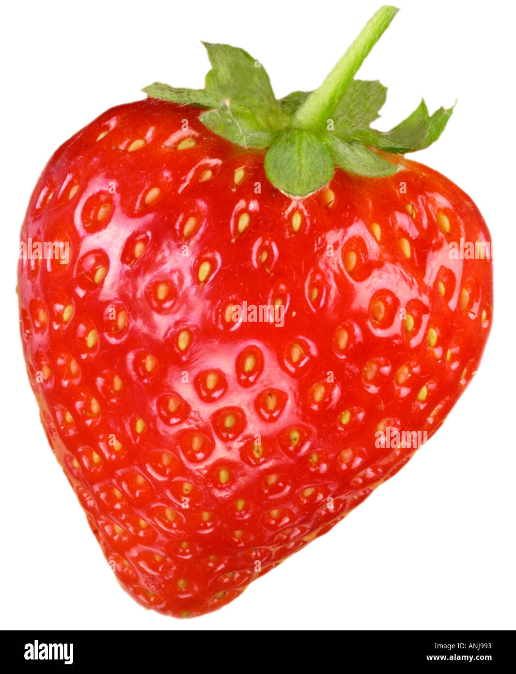 Single strawberry Cut Out Stock Images & Pictures - Alamy