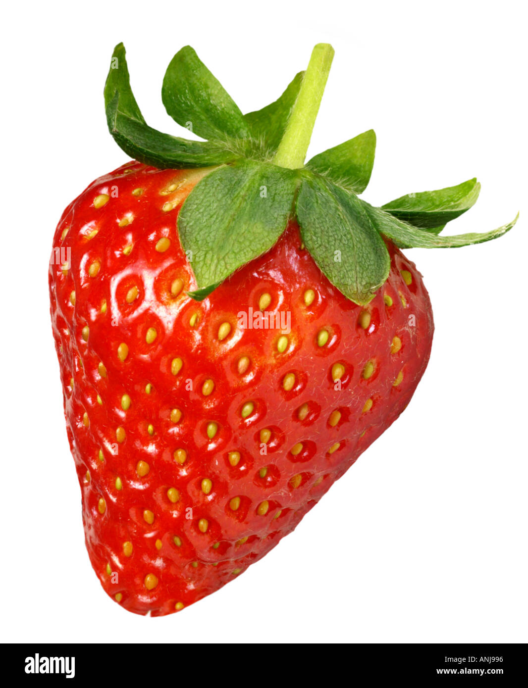 Single strawberry Cut Out Stock Images & Pictures - Alamy