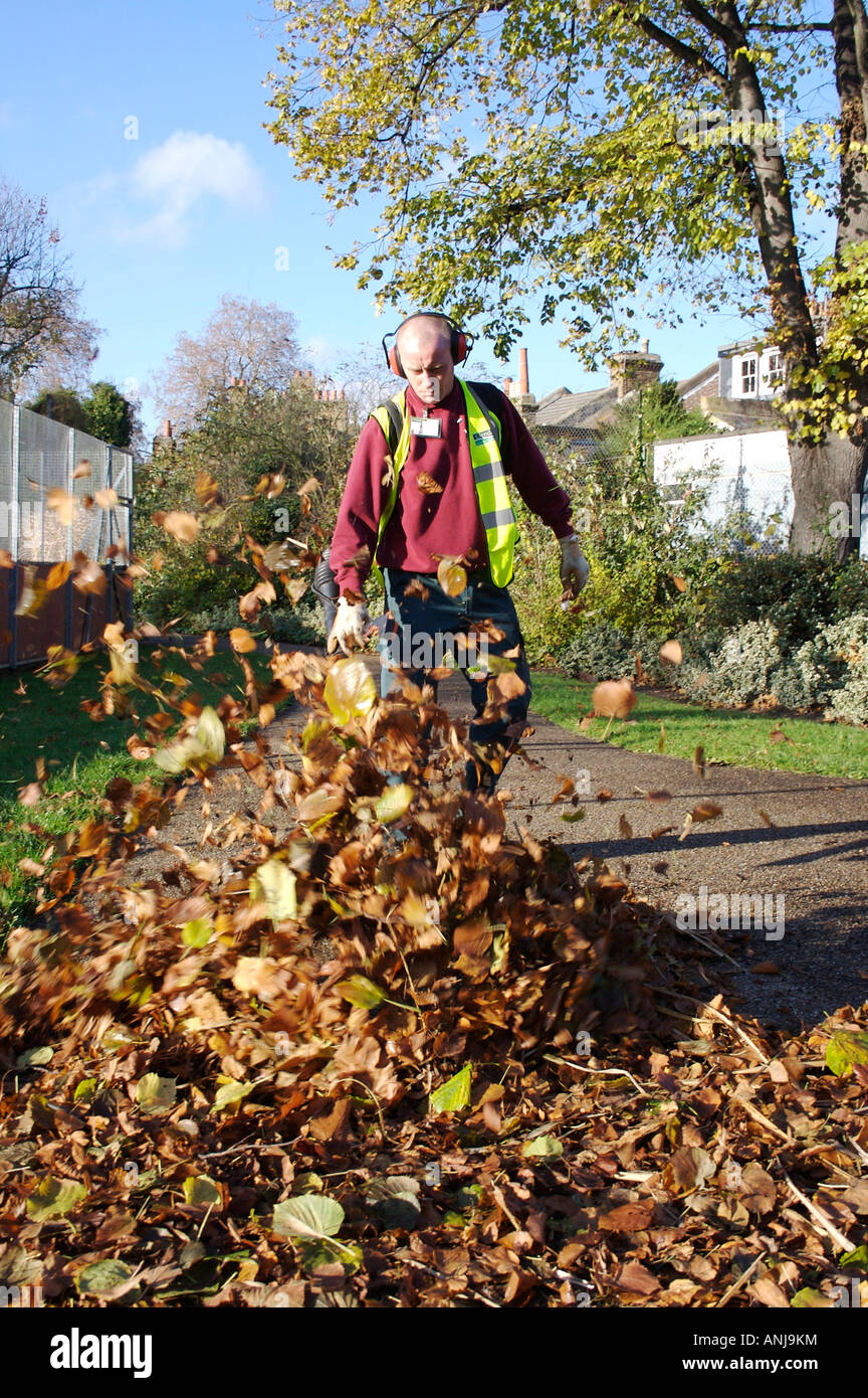 Autumn leaves blowing hi-res stock photography and images - Alamy