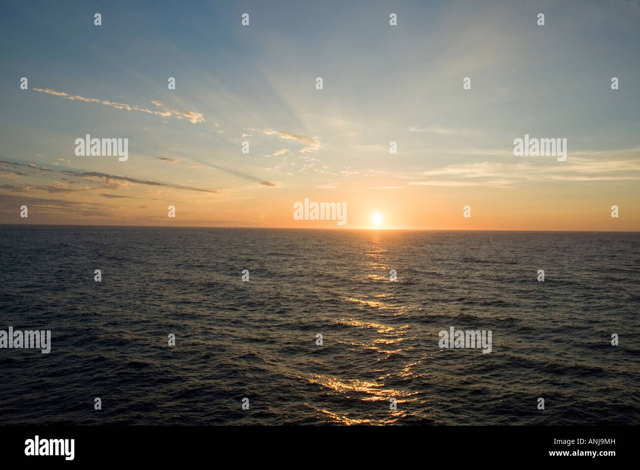 Blue marlin vessel hi-res stock photography and images - Alamy