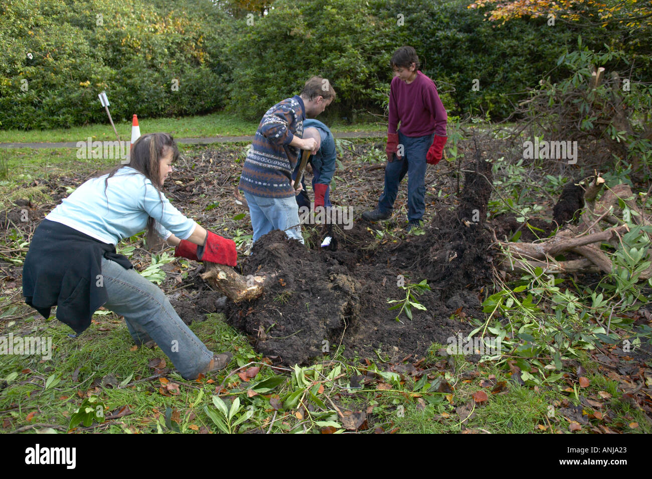 conservation volunteers clearing a patch of waste ground Stock Photo ...