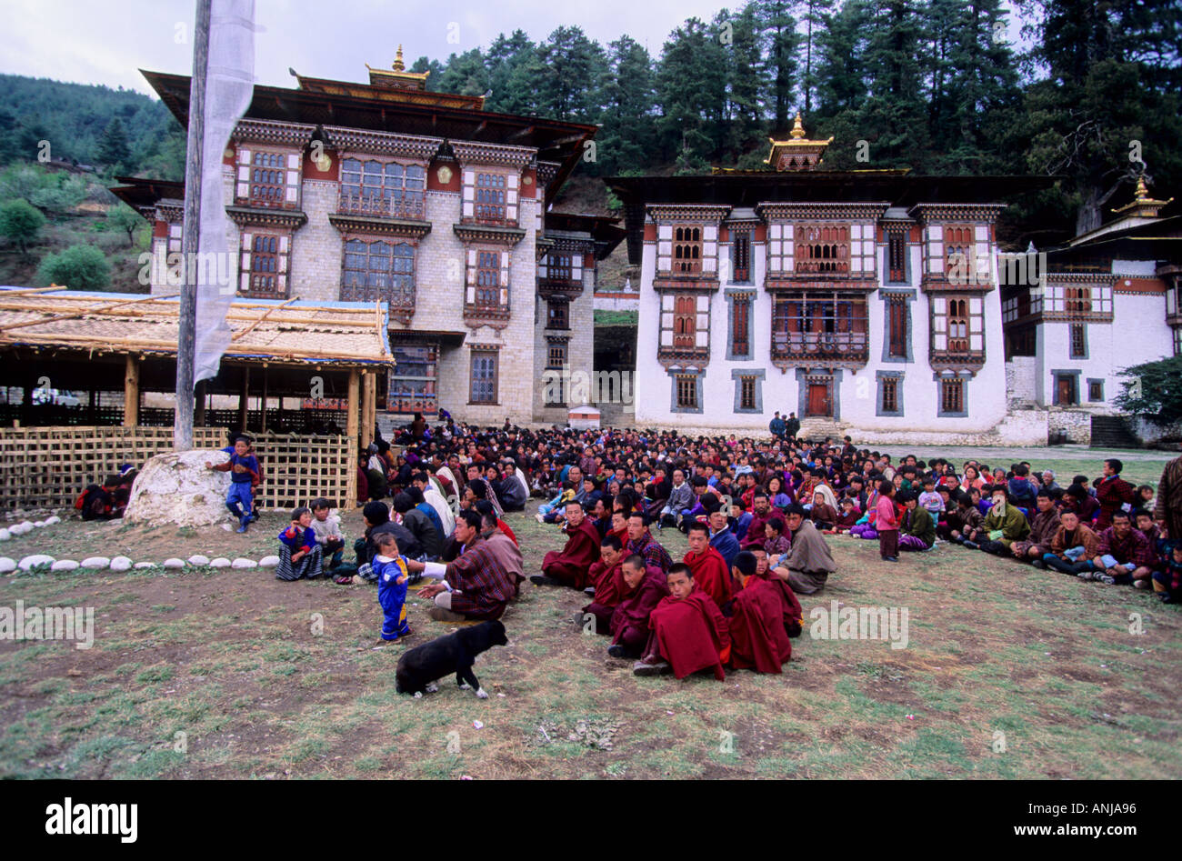 A buddhist religious gathering where young Monks get blessings form ...