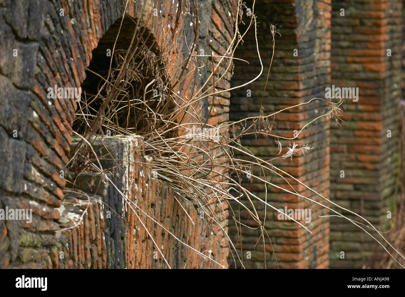 Details of lichen encrusted stone bridge in Japanese Gardens Rivington ...