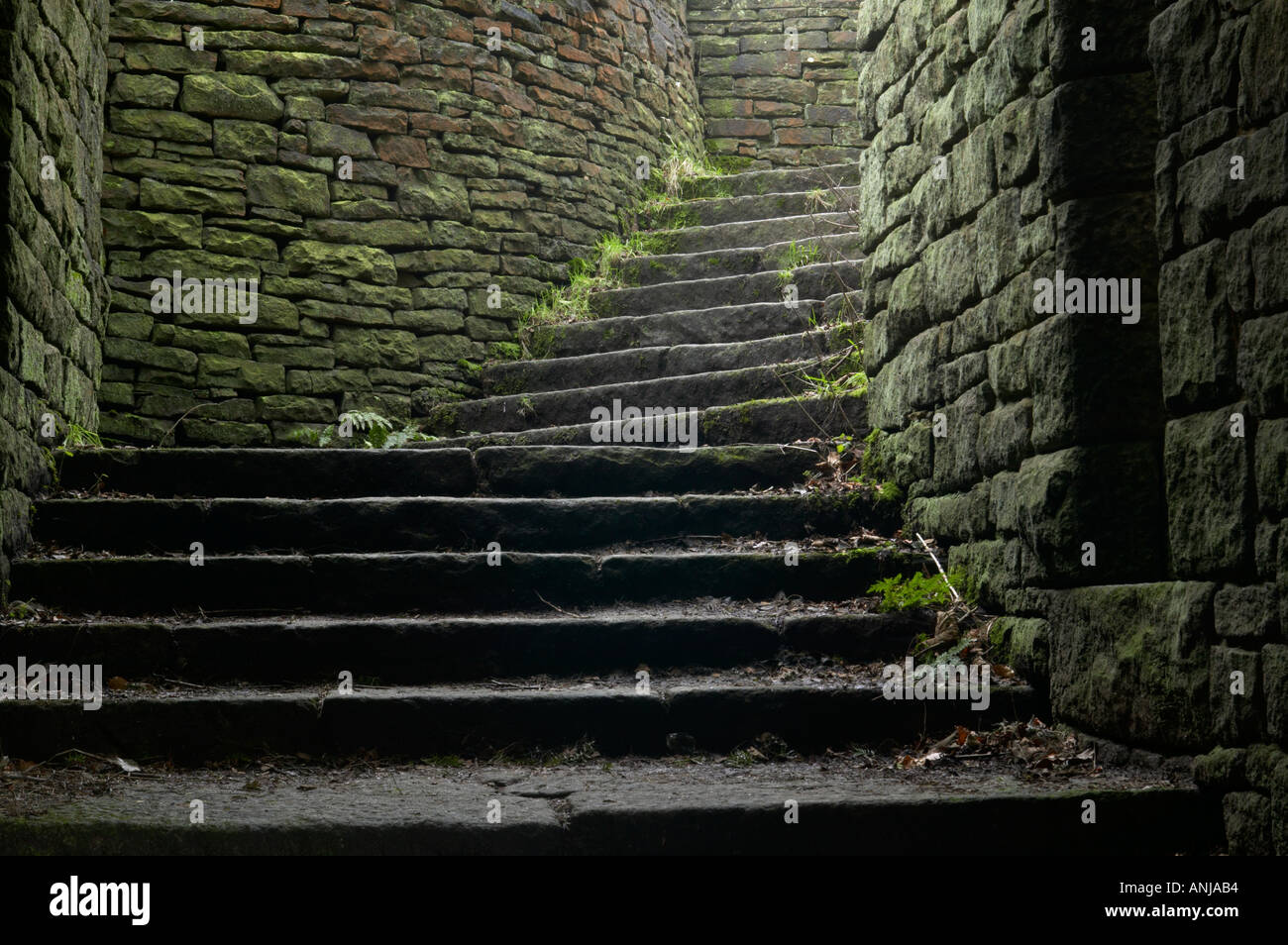 Garden Stone Steps High Resolution Stock Photography and Images - Alamy