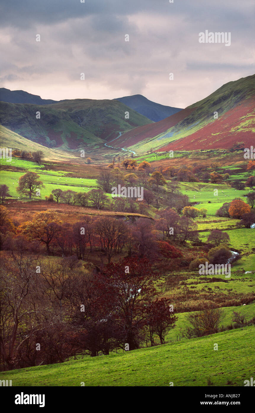 Newlands Valley English Lake District Cumbria UK Stock Photo - Alamy